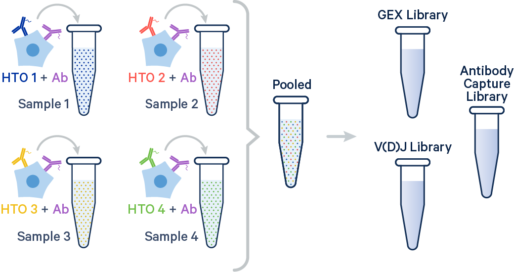 Universal 3' and 5' Multiplex Gene Expression, V(D)J, & Feature Barcode Analysis with Cell ...